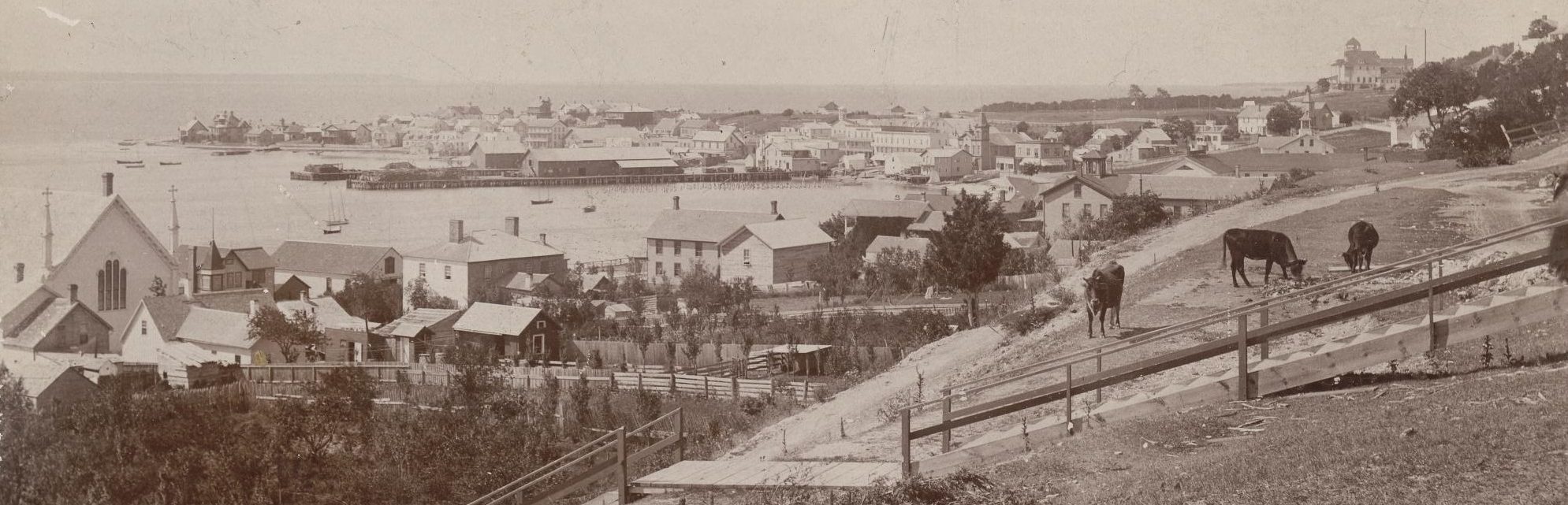 David V. Tinder Collection of Michigan Photography - UM Clements Library